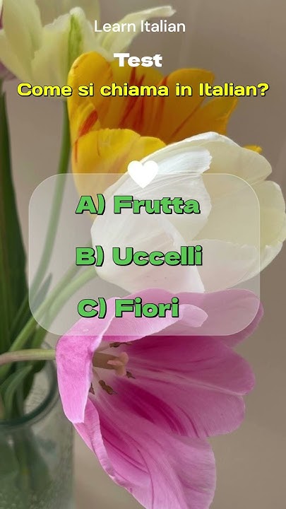 Italian Test A1 | Simple way of Learning Italian | Learn Italian Easy ...