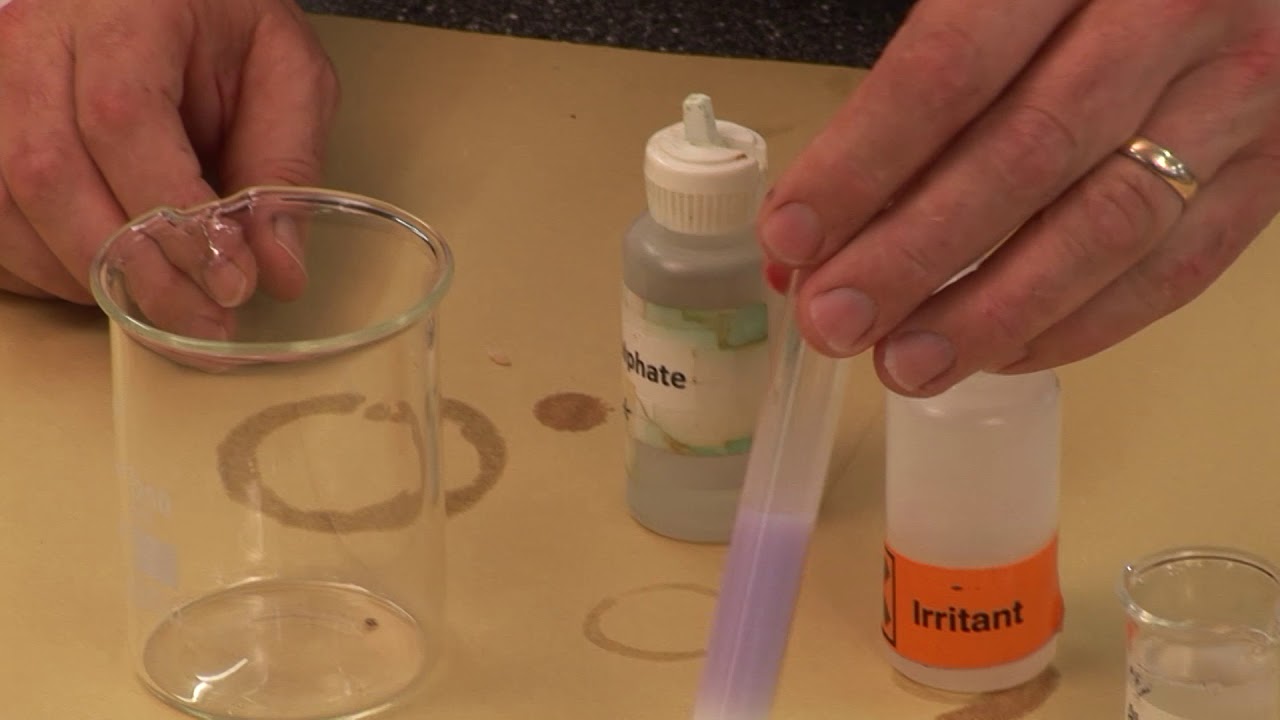 GCSE Biology Required Practical 4 - Food Tests - YouTube