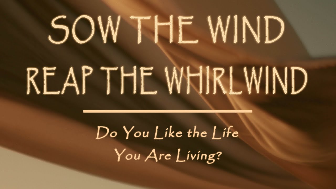 Do You Like the Life You Are Living? Sow the Wind Reap the Whirlwind ...