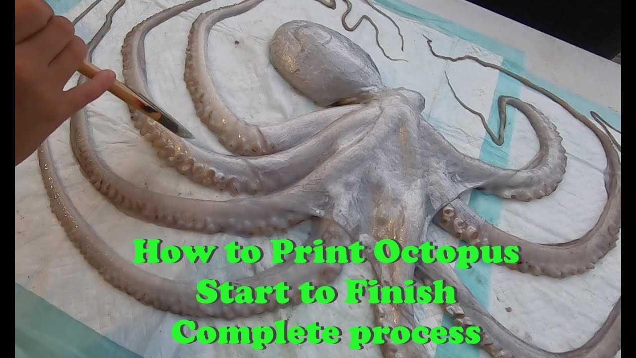 How to Gyotaku (Fish Print) a Octopus | TAKO | ULUA FISHING | GYOTAKU ...