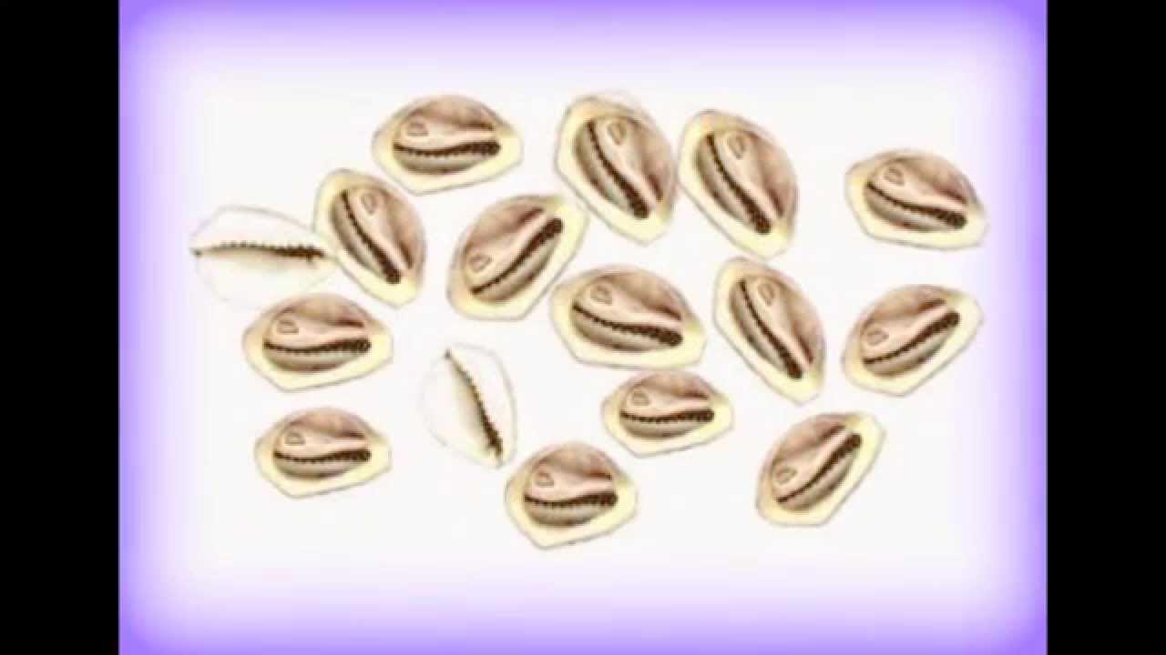 EL ORÁCULO DEL DILOGGUN / DILOGÚN - 1º Entrega - YouTube