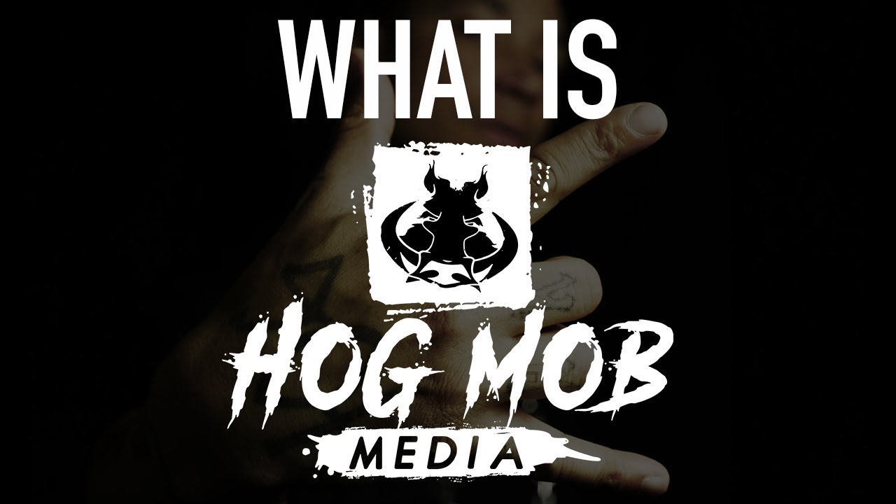 SEVIN SPEAKS - HOG MOB MEDIA?!! updates and MORE! - YouTube