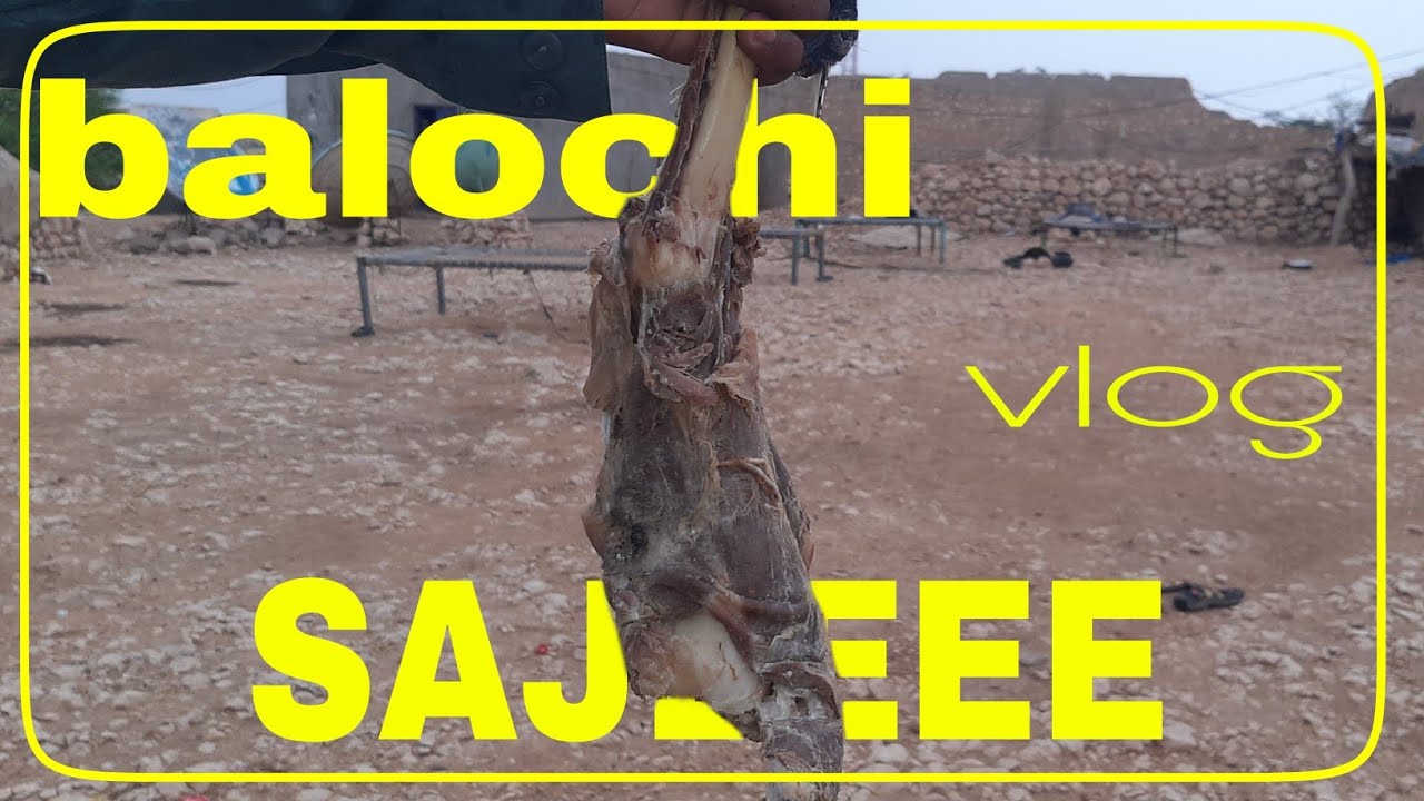 balochi sajeee eid ul azha - YouTube
