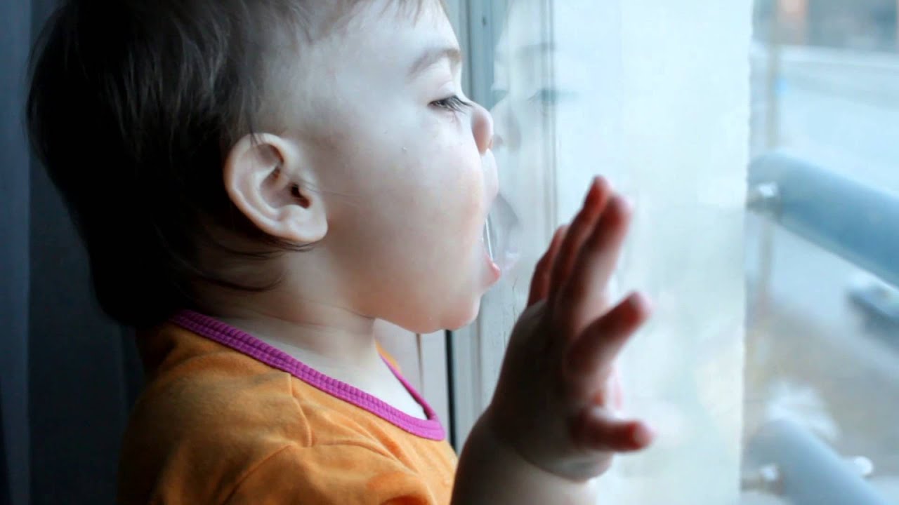 Baby licking the window - YouTube