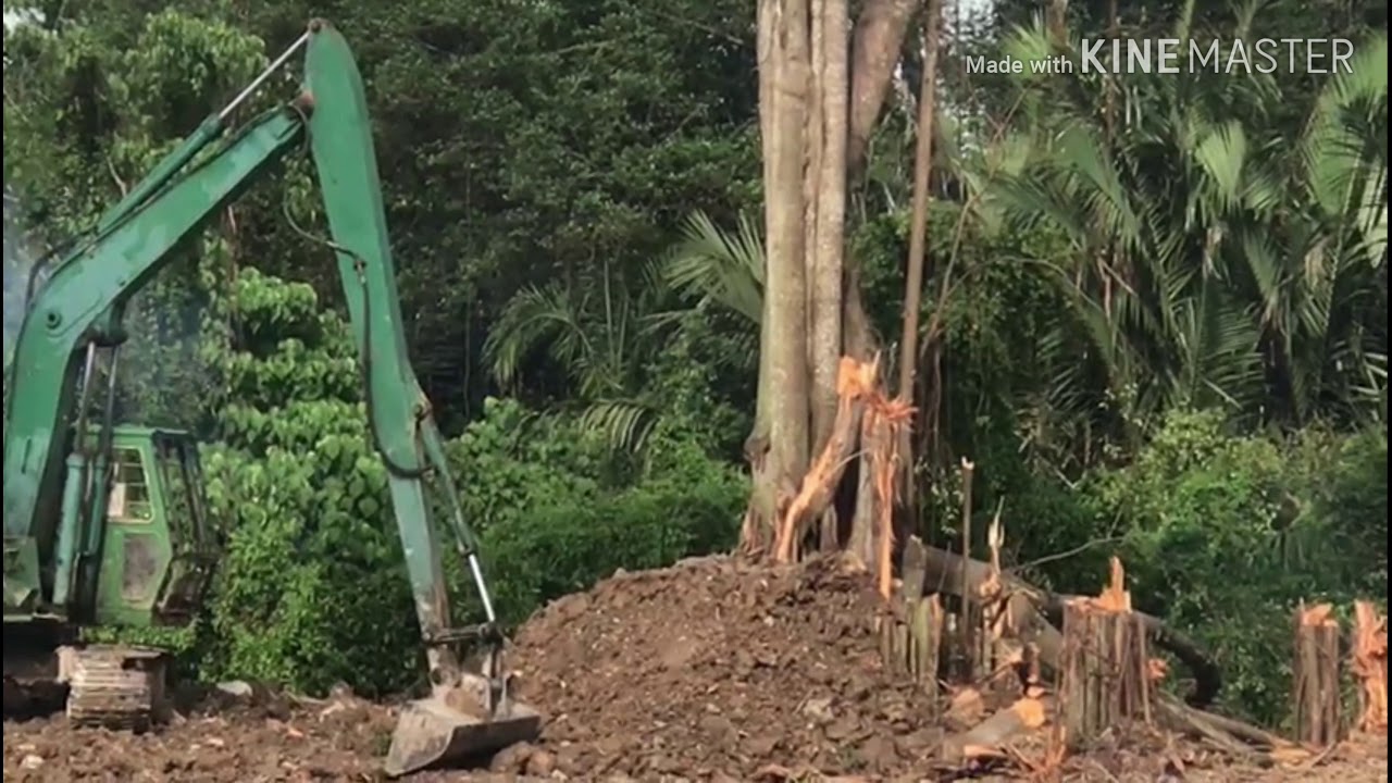 Site clearing scope work tree cut down finish part 7 #kathsengineering ...