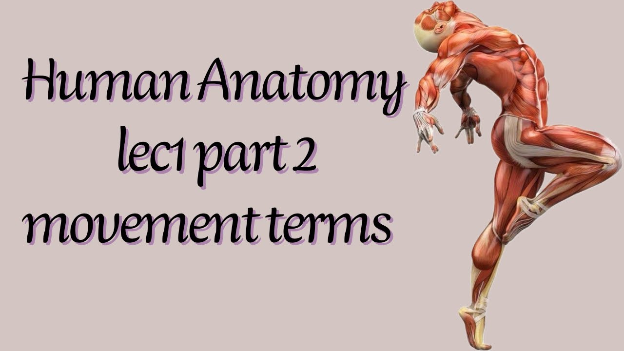 Human Anatomy lec1 _ movment terms (part 2) - YouTube