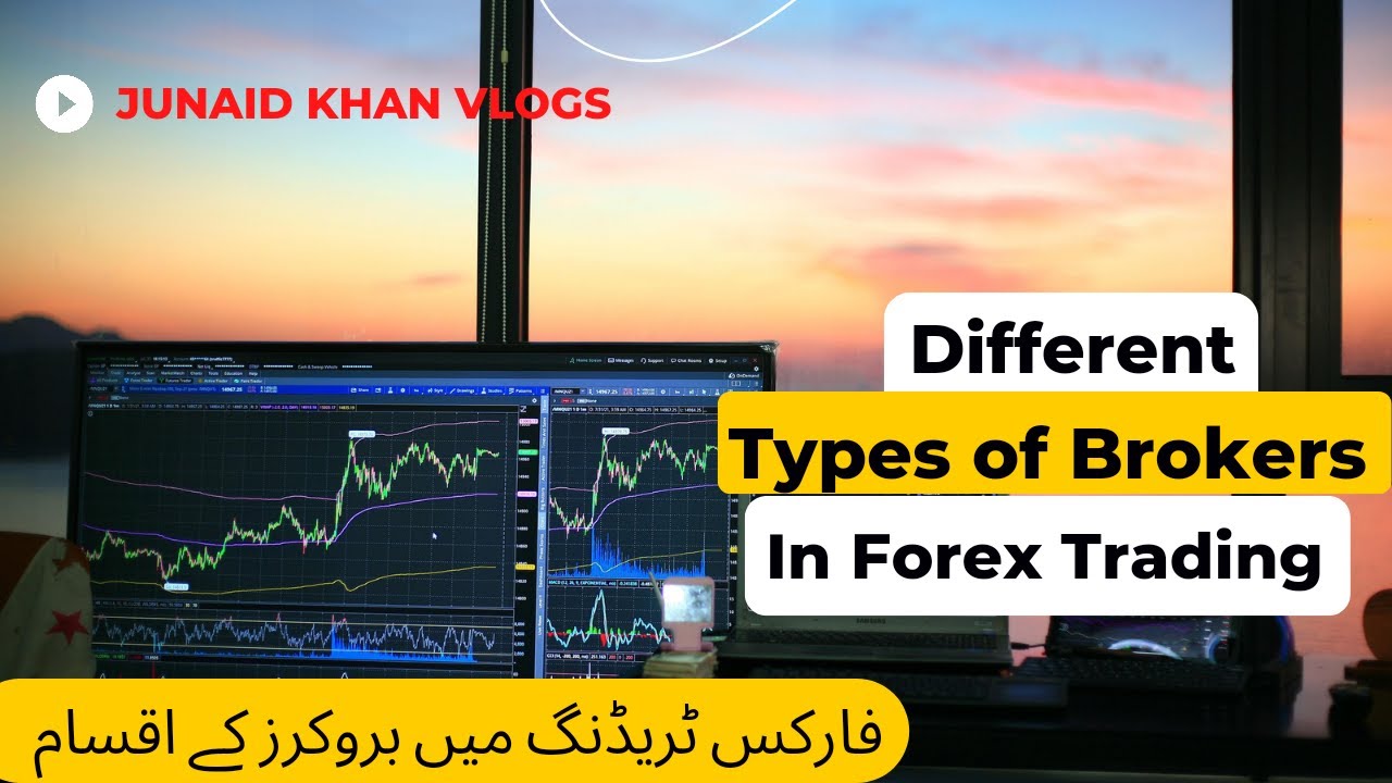 Types of Different Brokers in Forex Market for Beginners | Complete ...