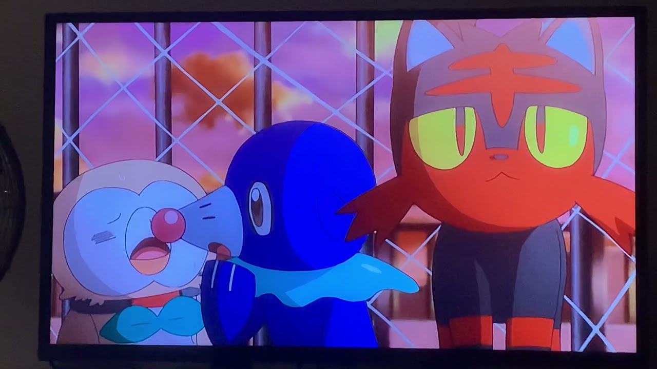 Pokemon Sun and moon popplio gets angry at rowlet Part 3 - YouTube