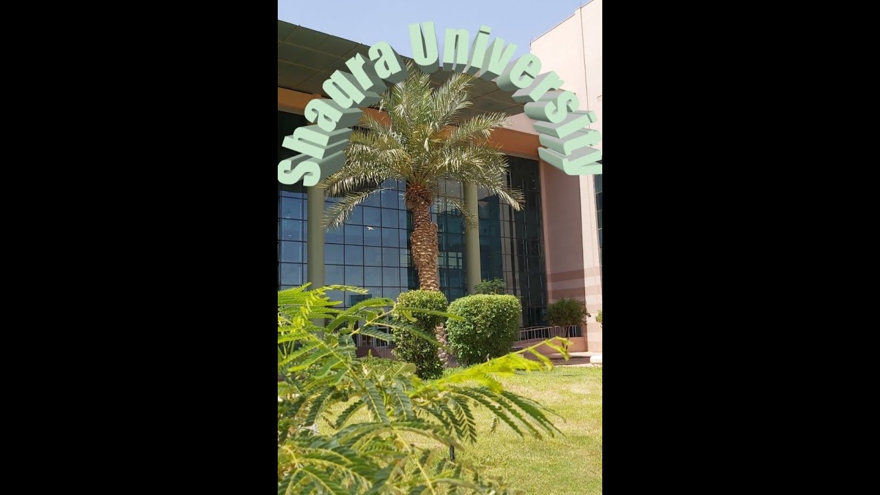 Tour of Shaqra University Residential Area - YouTube