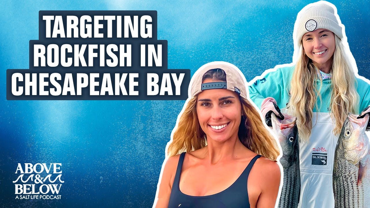 Above & Below: A Salt Life Podcast Ft. Lexi Davis On Fishing For ...