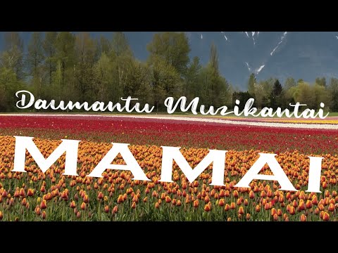 Daumantų Muzikantai - MAMAI (2020)