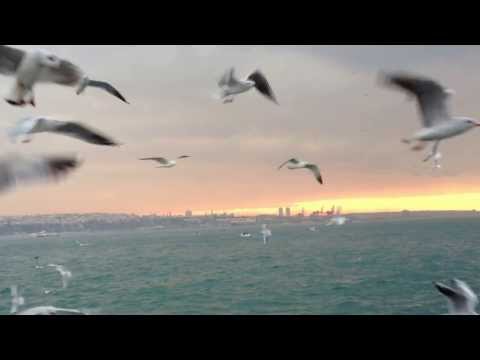 İstanbul, Martılar, Biraz Deniz ve Bir  Parça  Boğaz