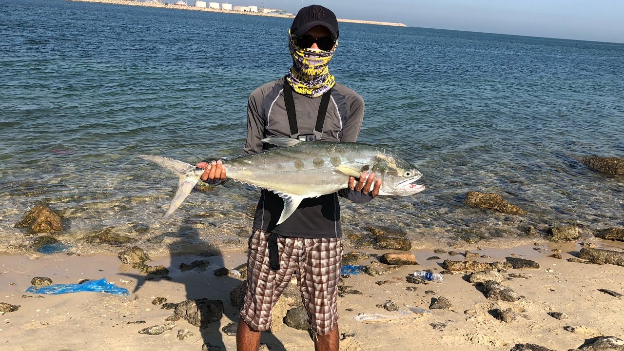 big queenfish on a live bait - YouTube