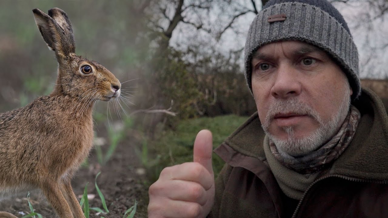 WILDLIFE PHOTOGRAPHY | Looking for BROWN HARES on my Doorstep - YouTube