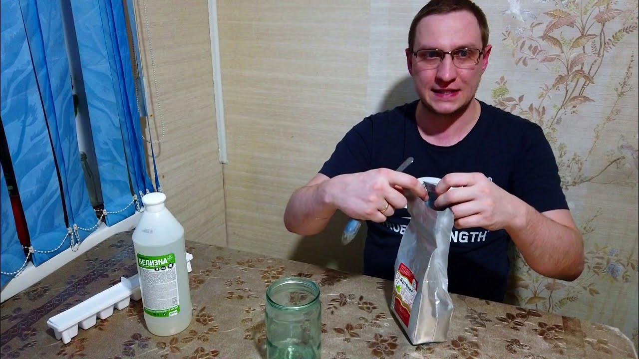 Декапсулированная артемия/корм для малька - YouTube