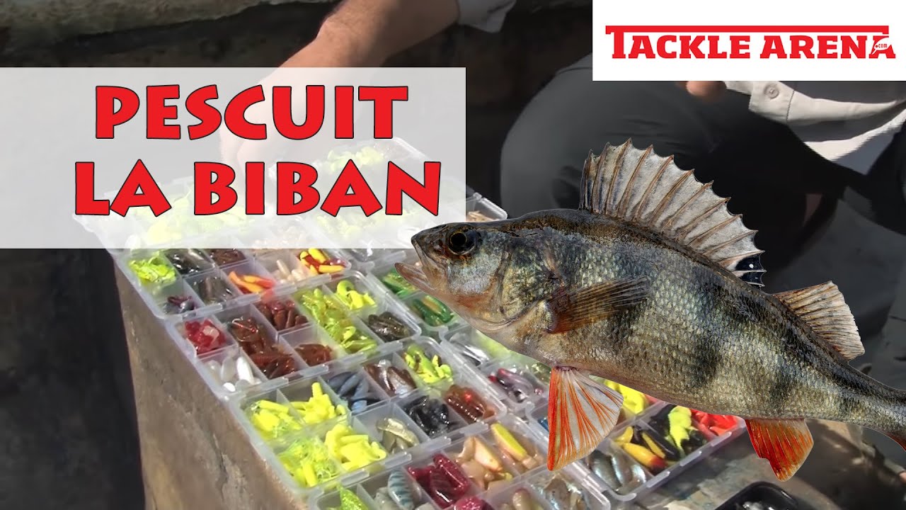 Pescuit la Biban - Relax Spinning Expert prezinta Shaduri & Bibani ...