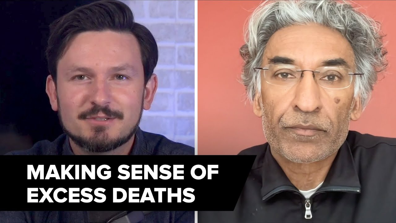 Excess Deaths? Debunking The Debunkers & An Honest Look At The Data ...