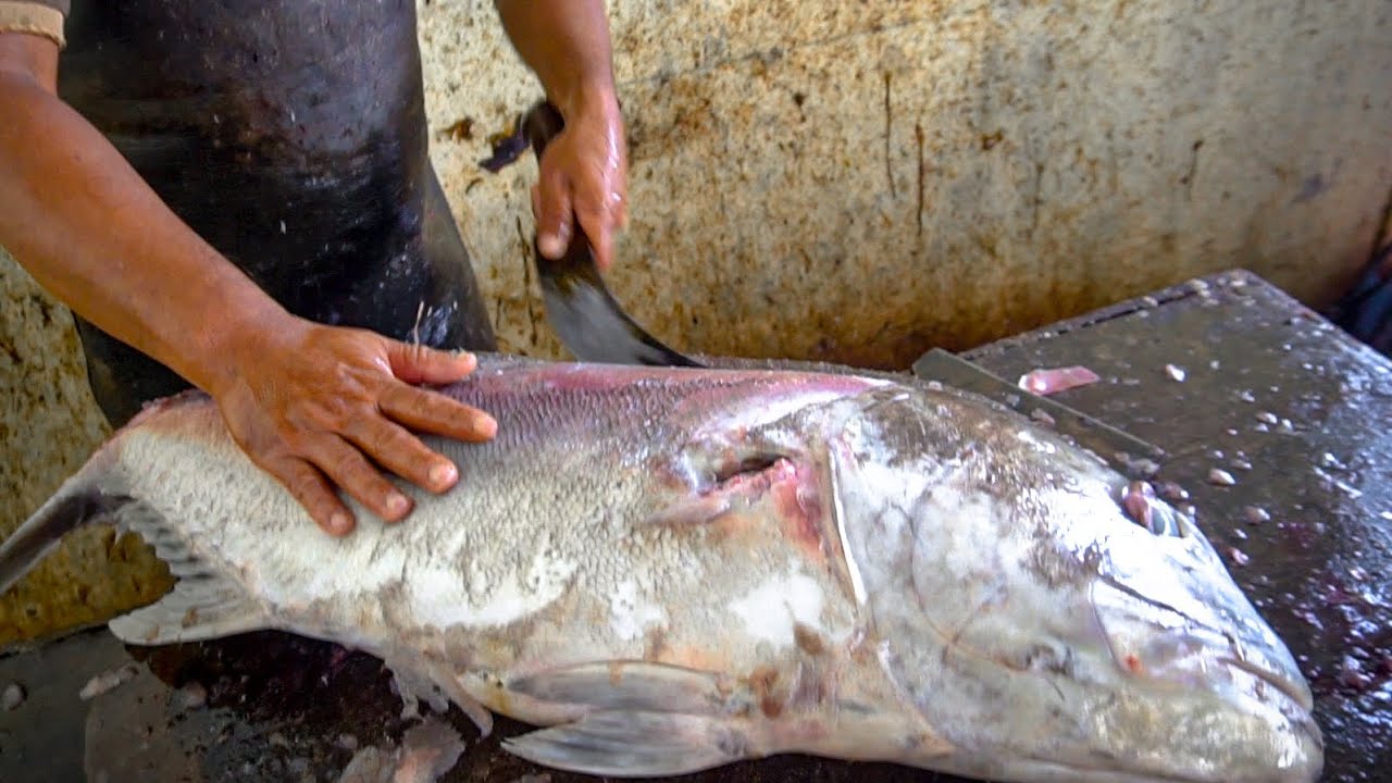 FASTEST WORKERS IN THE WORLD FISH CUTTING || HUGE FISH CUTTING SKILLS ...
