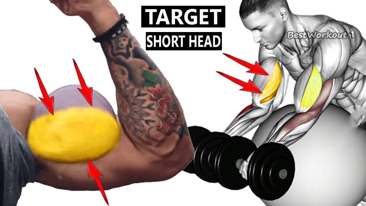 Elevate Your Biceps : The Short Head Muscle Builder - YouTube