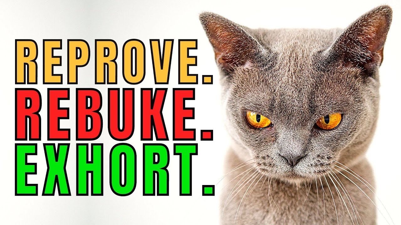 Reprove, Rebuke, Exhort. | New Beginnings Worship Service | 10-16-2022 ...