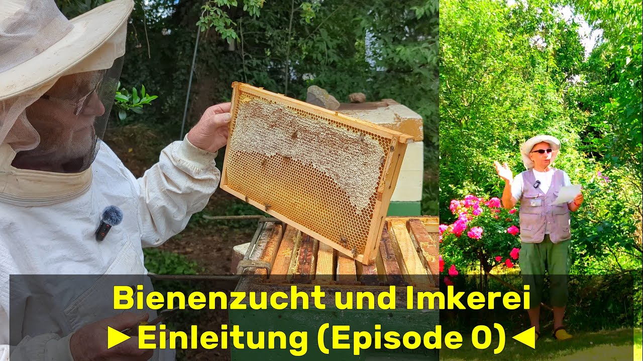 Bienenzucht und Imkerei mit Hartmut [Einleitung] 🇩🇪 (2024-05) - YouTube