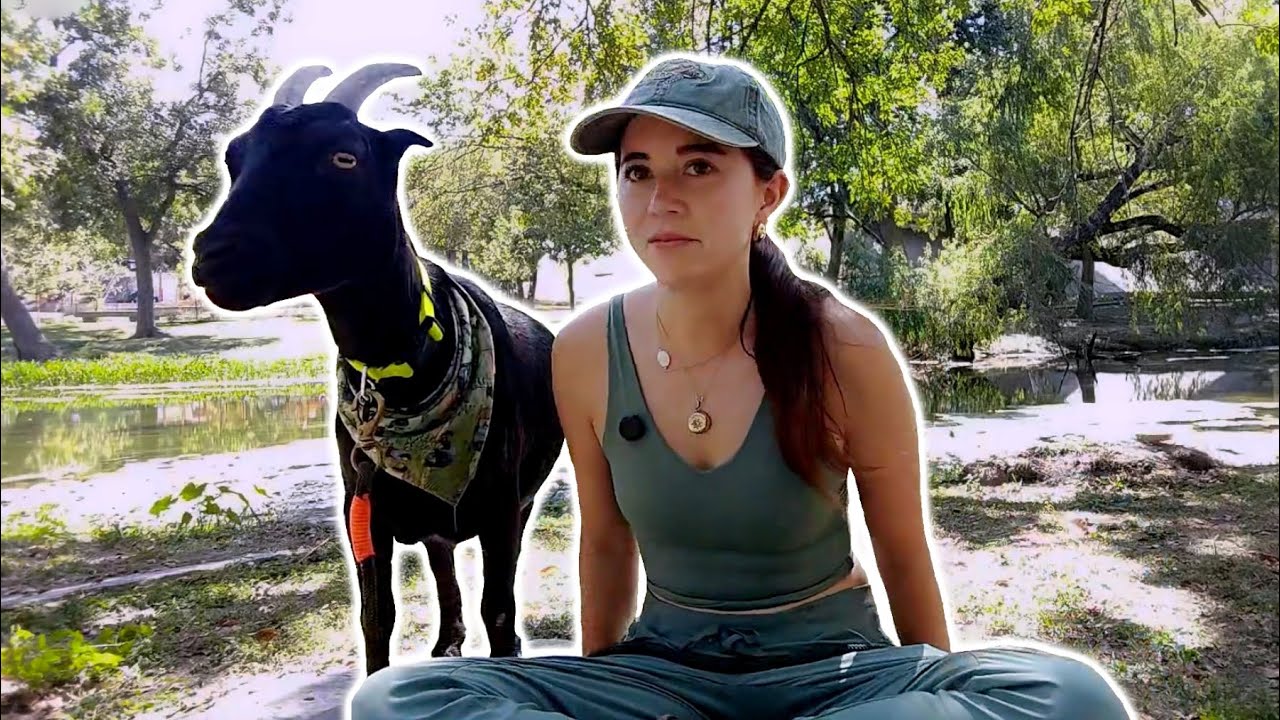 IRL Goat Hike🐐🌄 - 10/2/24 - YouTube