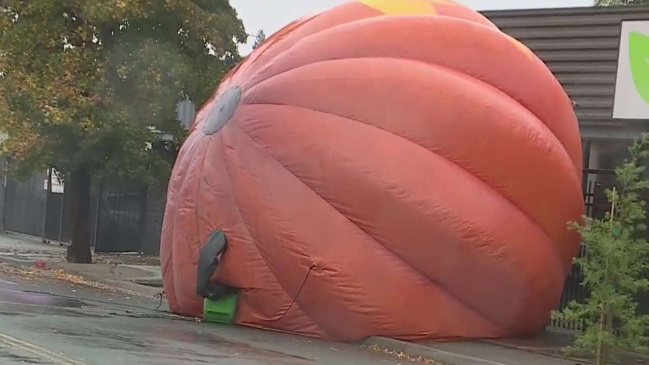 Wind Blows Down Giant Pumpkin In Stockton - YouTube