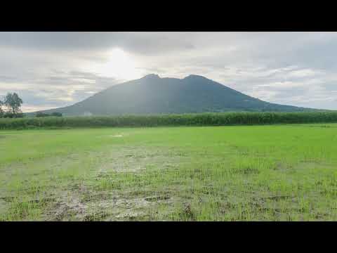 Beautiful Sunset @ Mt. Arayat || Palayan @Miranda's Farm - YouTube