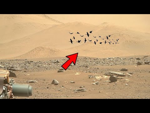 Perseverance Rover Captured Mars Planet Real Video | Perseverance Rover ...