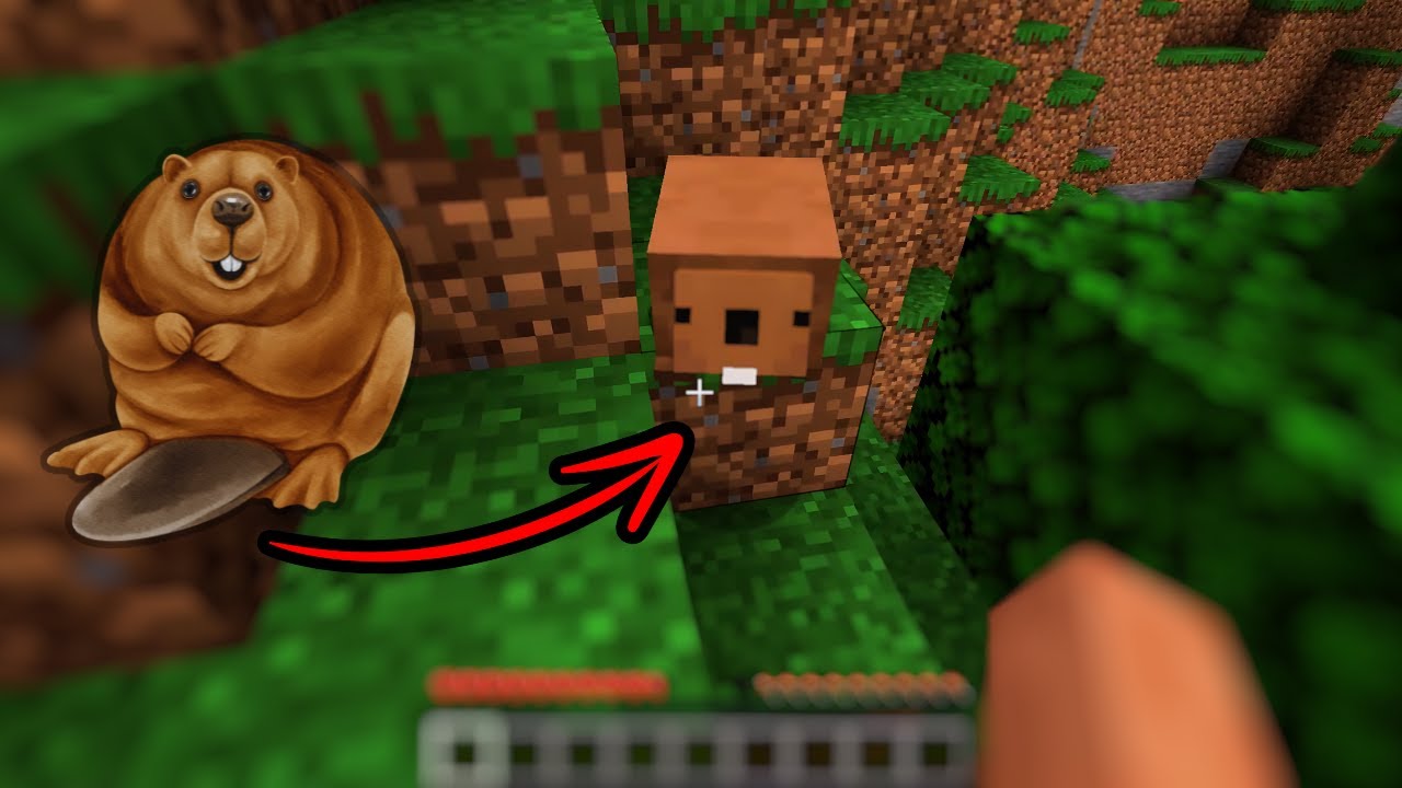 Bóbr kurwa Minecraft Edition - YouTube