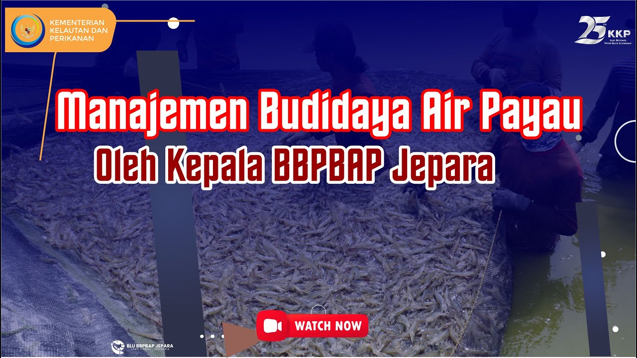 Manajemen Budidaya Air Payau - YouTube