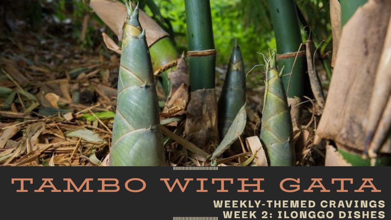 TAMBO WITH GATA||Ilonggo dish||Weekly-themed cravings||curlytop ...