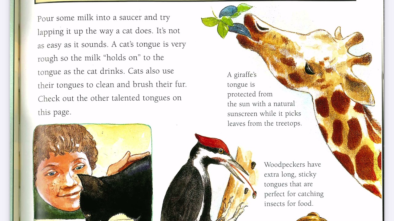 Animal Senses How Animals See, Hear, Taste, Smell and Feel - YouTube