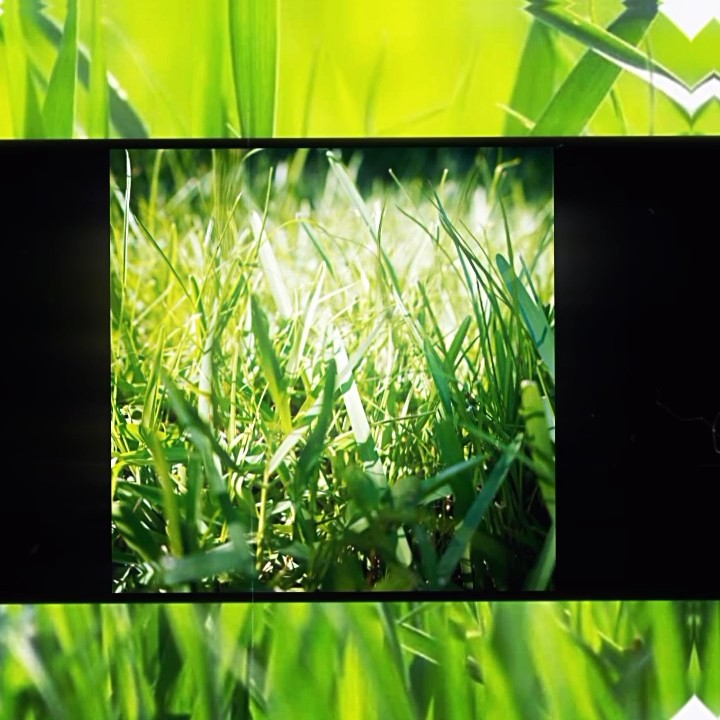 Grass edit💀 #funny #memes #touchgrass #relatable - YouTube