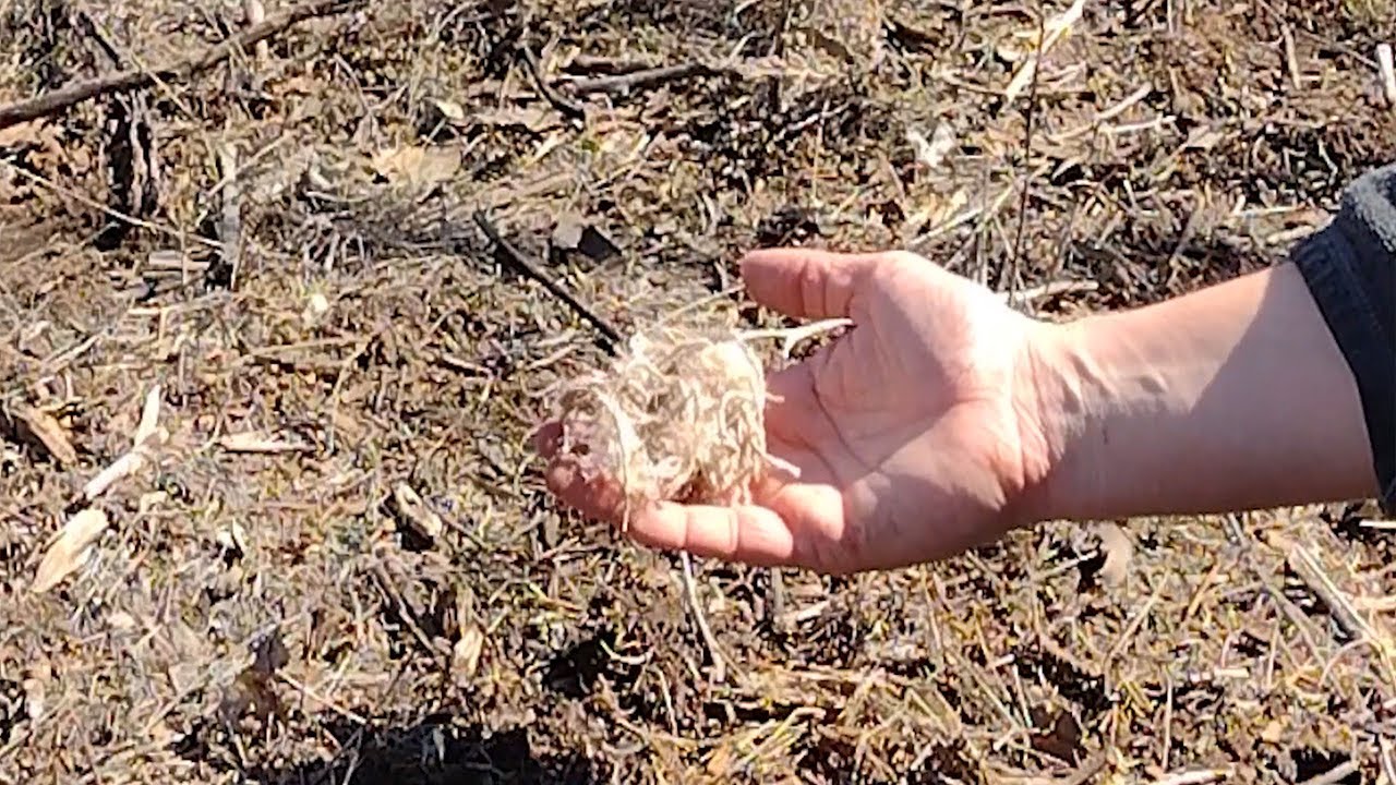 How To Start A Fire with Jute Rope Fire Starter - YouTube