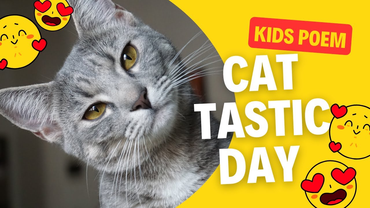 Cat-tastic Day | Kids Poem | Kids Song | Cat Poem | Cat Song - YouTube