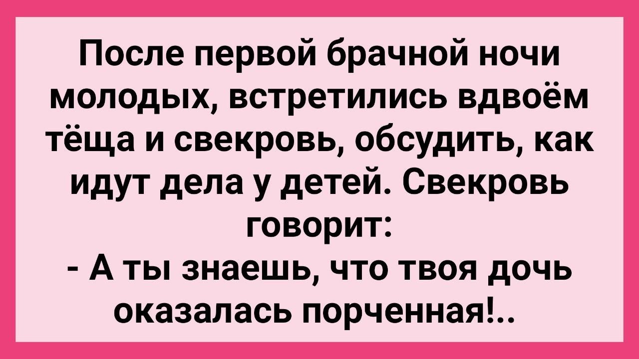 Свекровь Обвинила Невестку в Испорченности Сборник Свежих Смешных