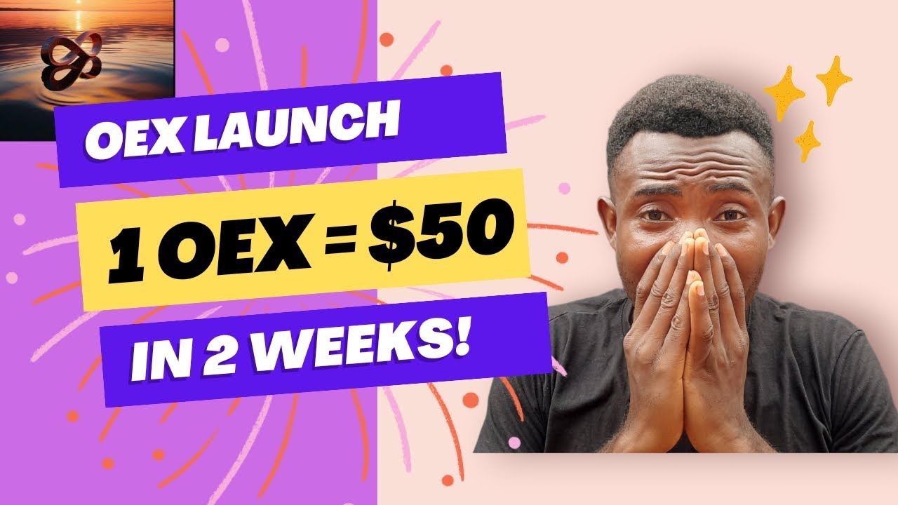 How to do Open Exchange (OpenEx) testnet tasks - YouTube