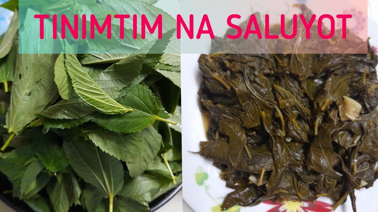 TINIMTIM NA SALUYOT...LUTONG ILOCANO - YouTube