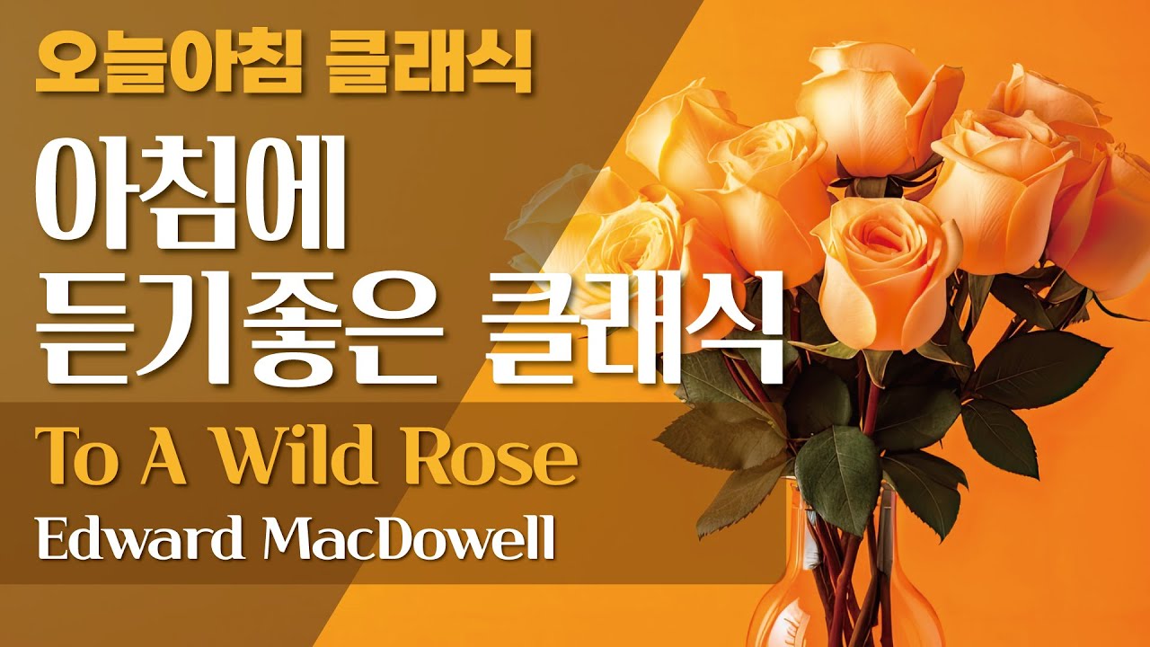 🔴오늘아침 클래식🍂가을에 듣기 좋은 클래식 : To a Wild Rose - MacDowell 들장미에게 (맥도웰) 일미터클래식 ...