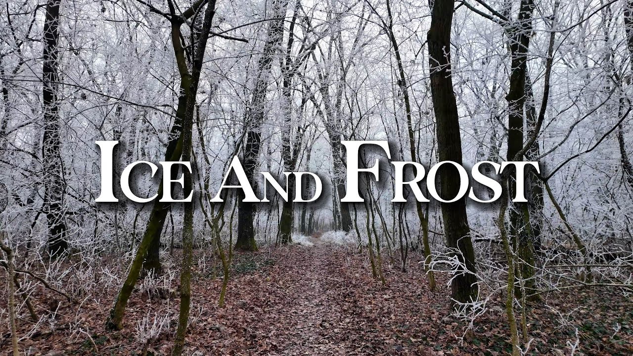 Frozen Wonderland: A Forest Engulfed In Ice And Frost | 4K - YouTube
