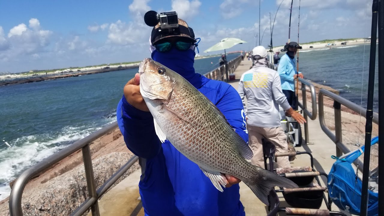 Packery Jetties Mangrove Snapper, Trout and Spanish Mackerel - YouTube