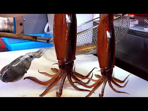 Sashimi Master! GIANT SQUID Cutting Skills | Thailand Street Food - YouTube