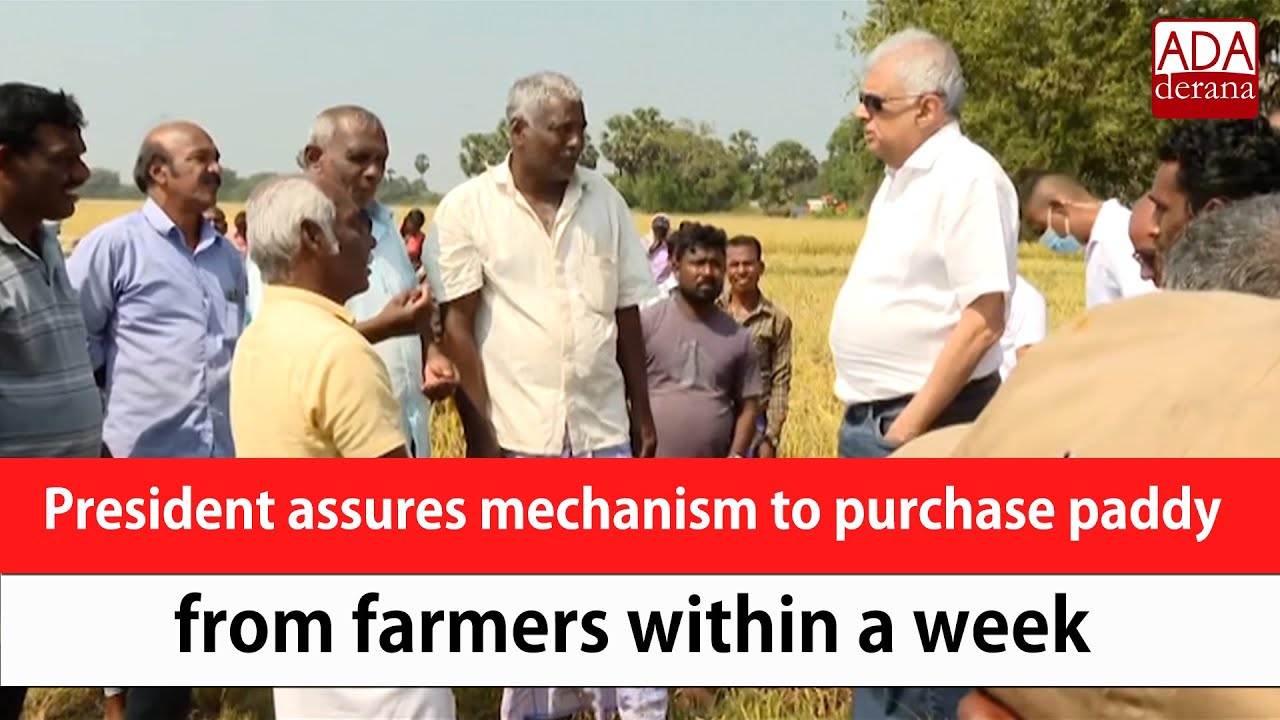 President assures mechanism to purchase paddy from farmers within a ...