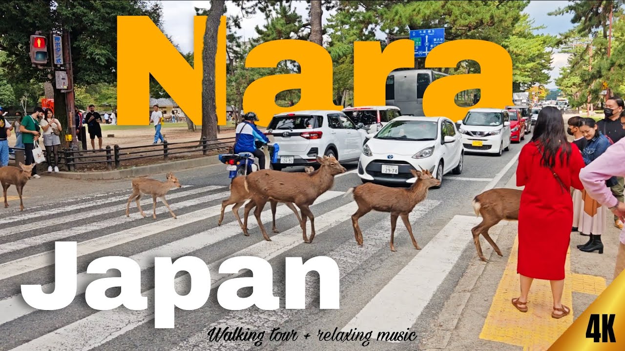 🇯🇵 Nara, Japan Walking Tour 4K | Friendly Deer Interactions, Bowing and ...