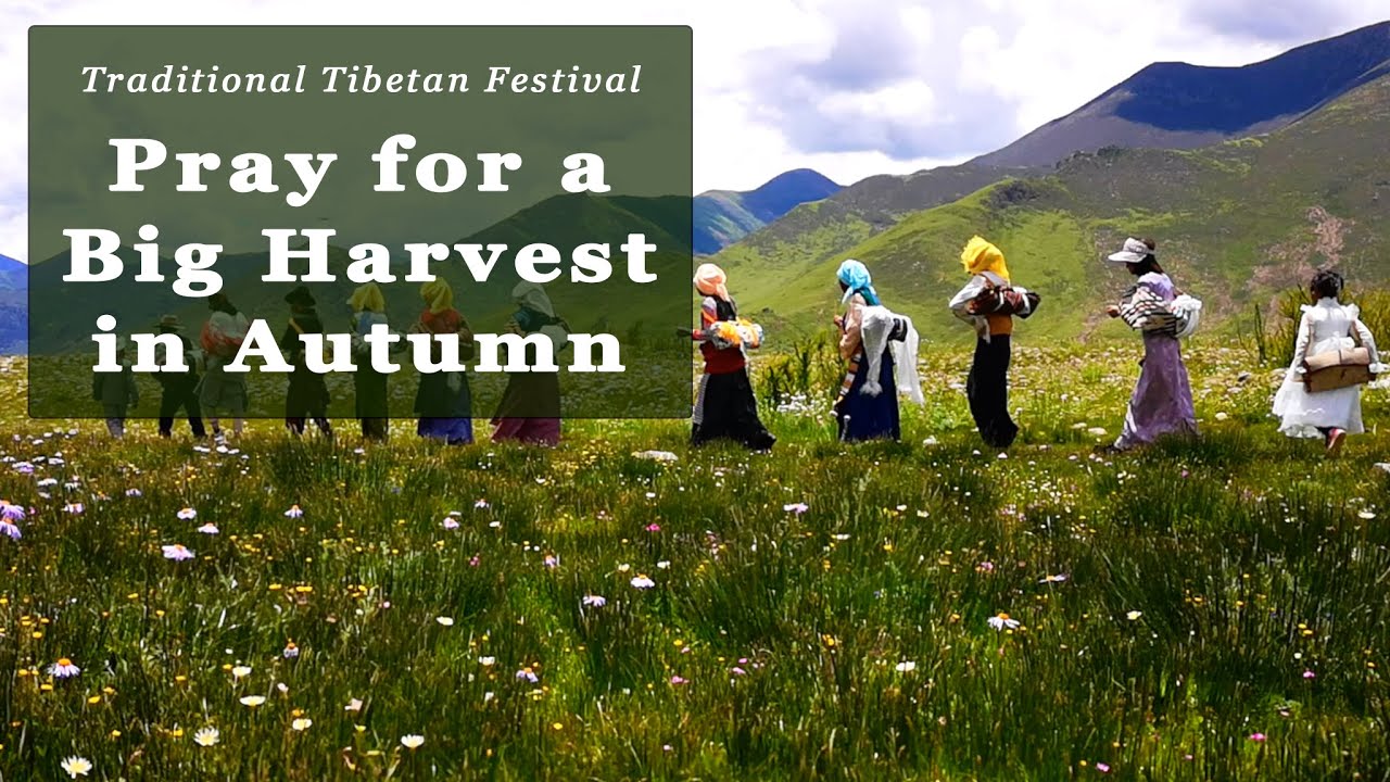 Tibetan Village Summer Festival: Pray for the Big Harvest in this Fall ...