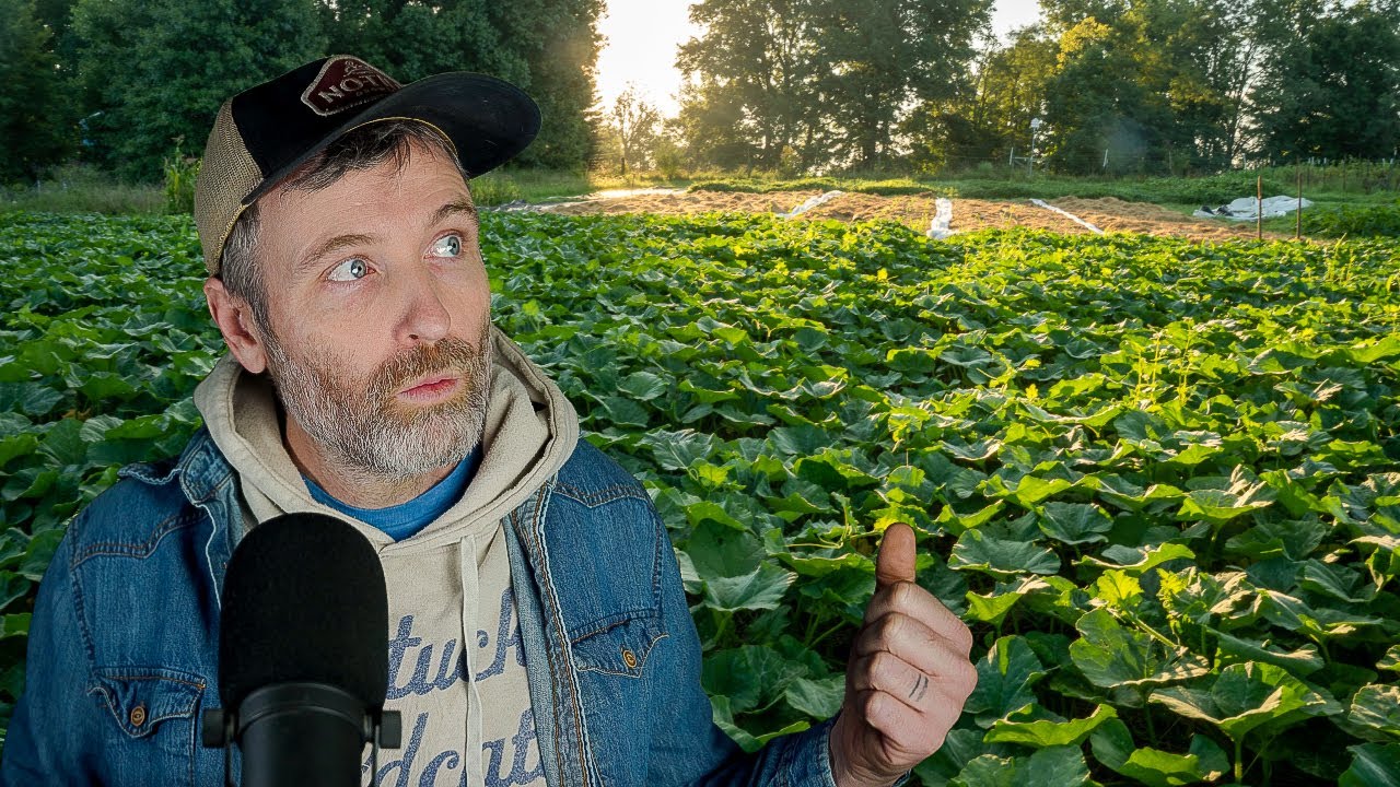 Growing Vining Crops in the Market Garden + Hedges (but in the shape of ...