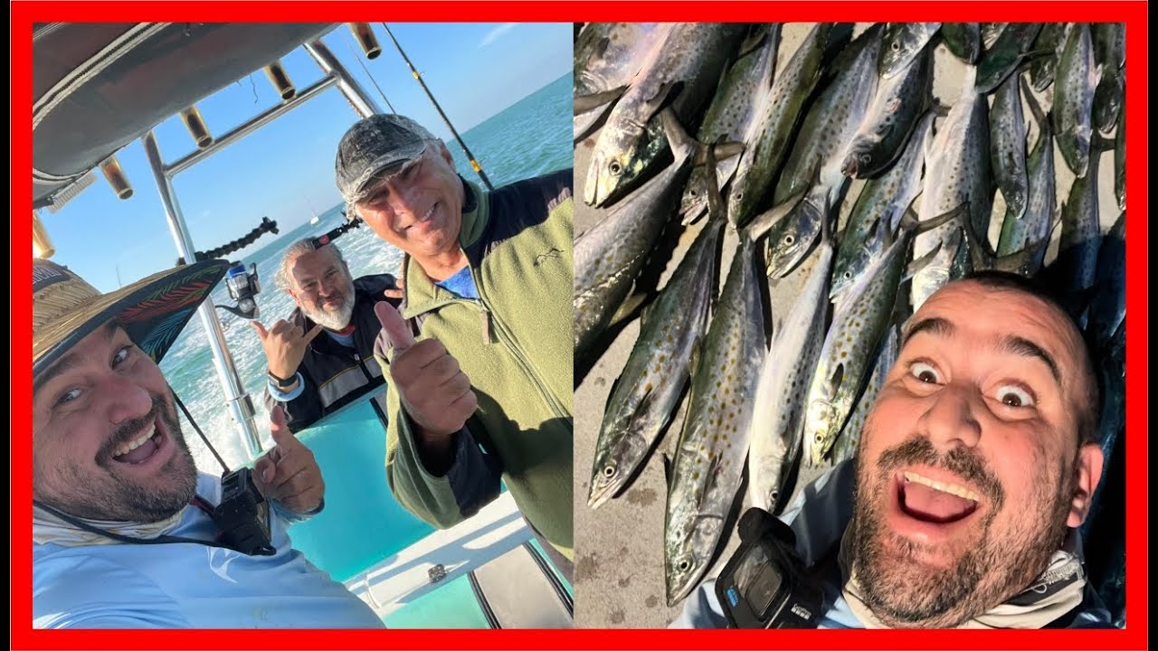 Ultima Pesca de Macarela del 2025 - YouTube