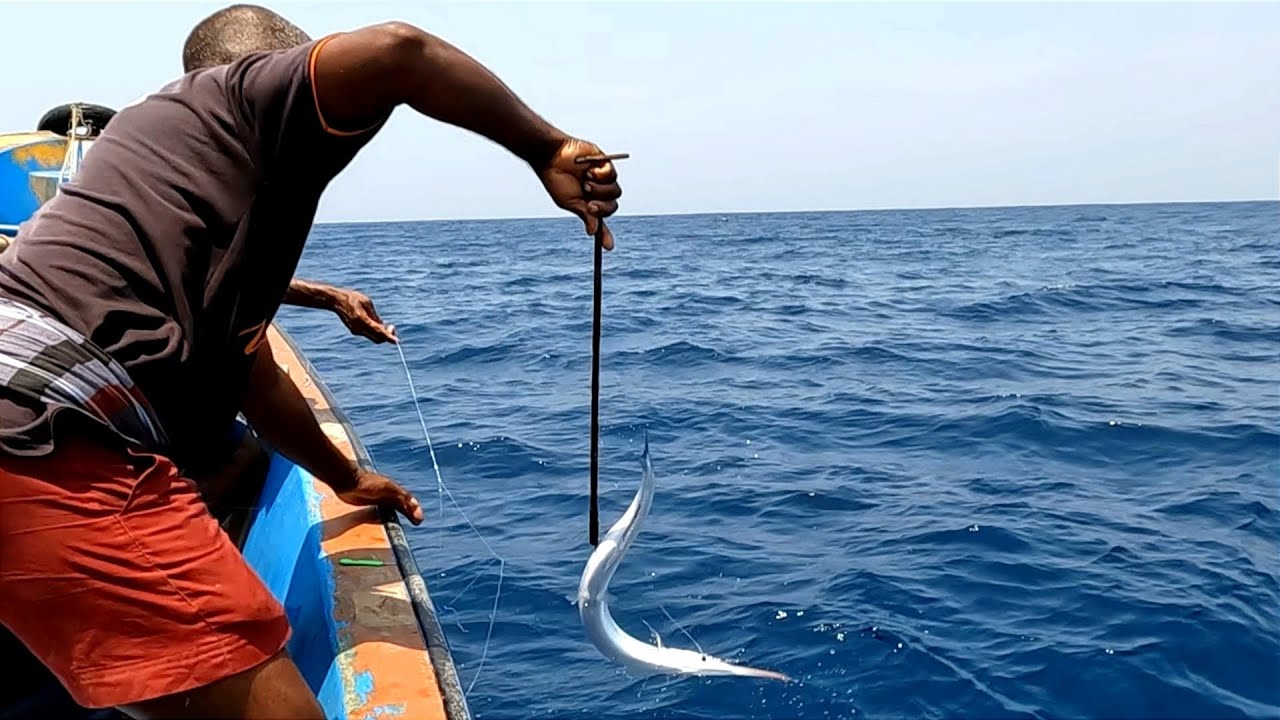 Catching Needle Fish & Queen Fish in the Sea - YouTube