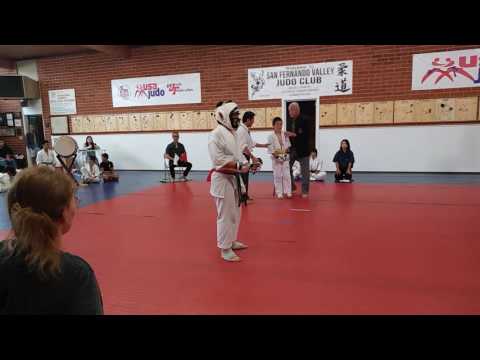 To all Martial Arts practitioners: don't kick to the groin